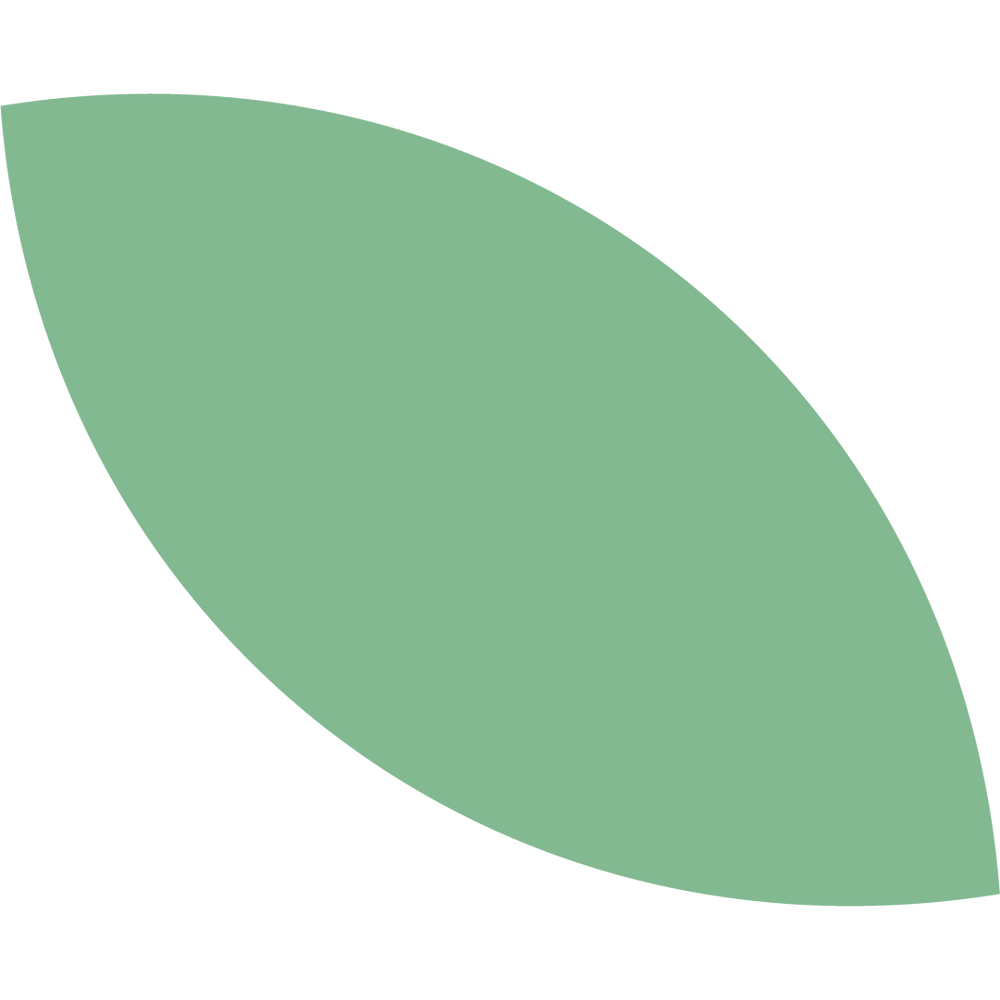 The Spring Summer Edition 2026